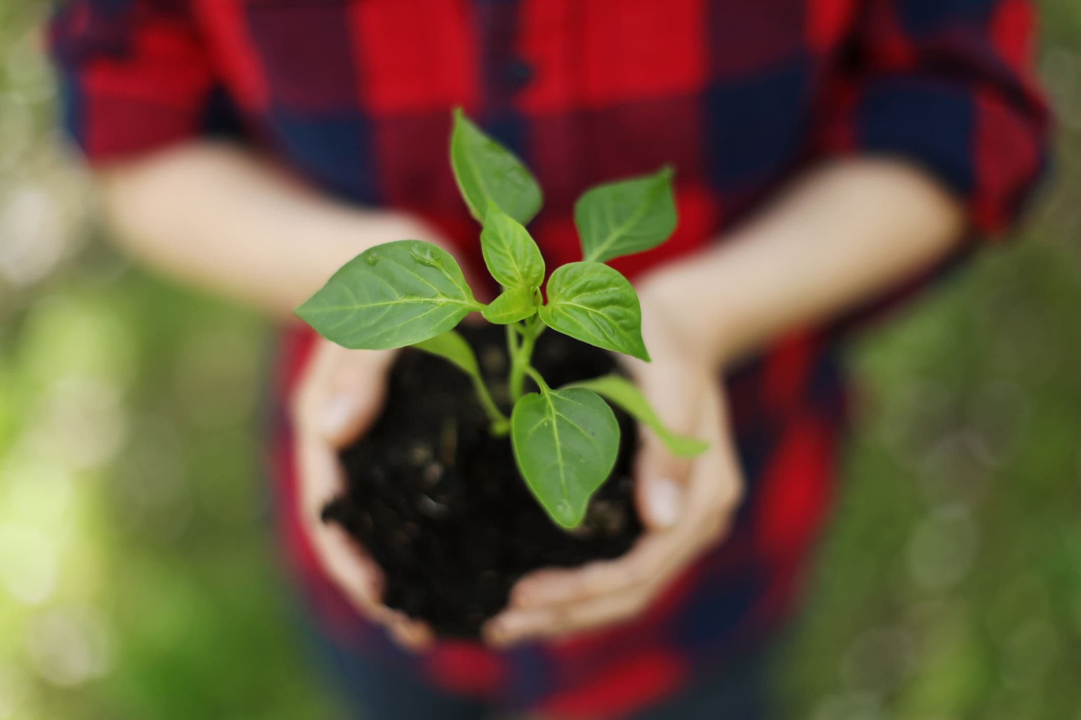 Consumo consciente: o que é e como colocar em prática?